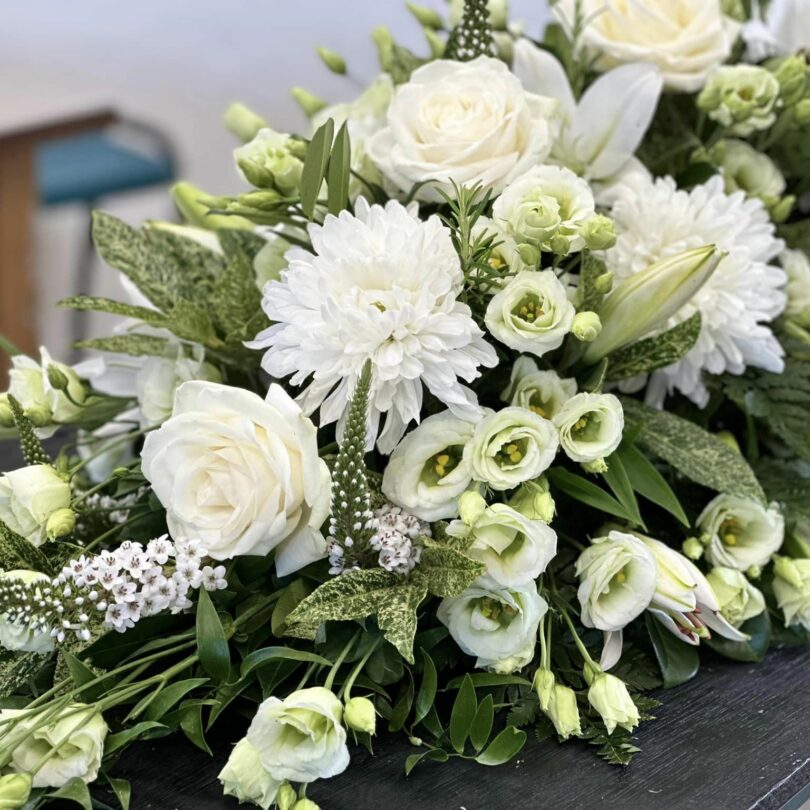 Packages & Pricing | Bud and Bloom